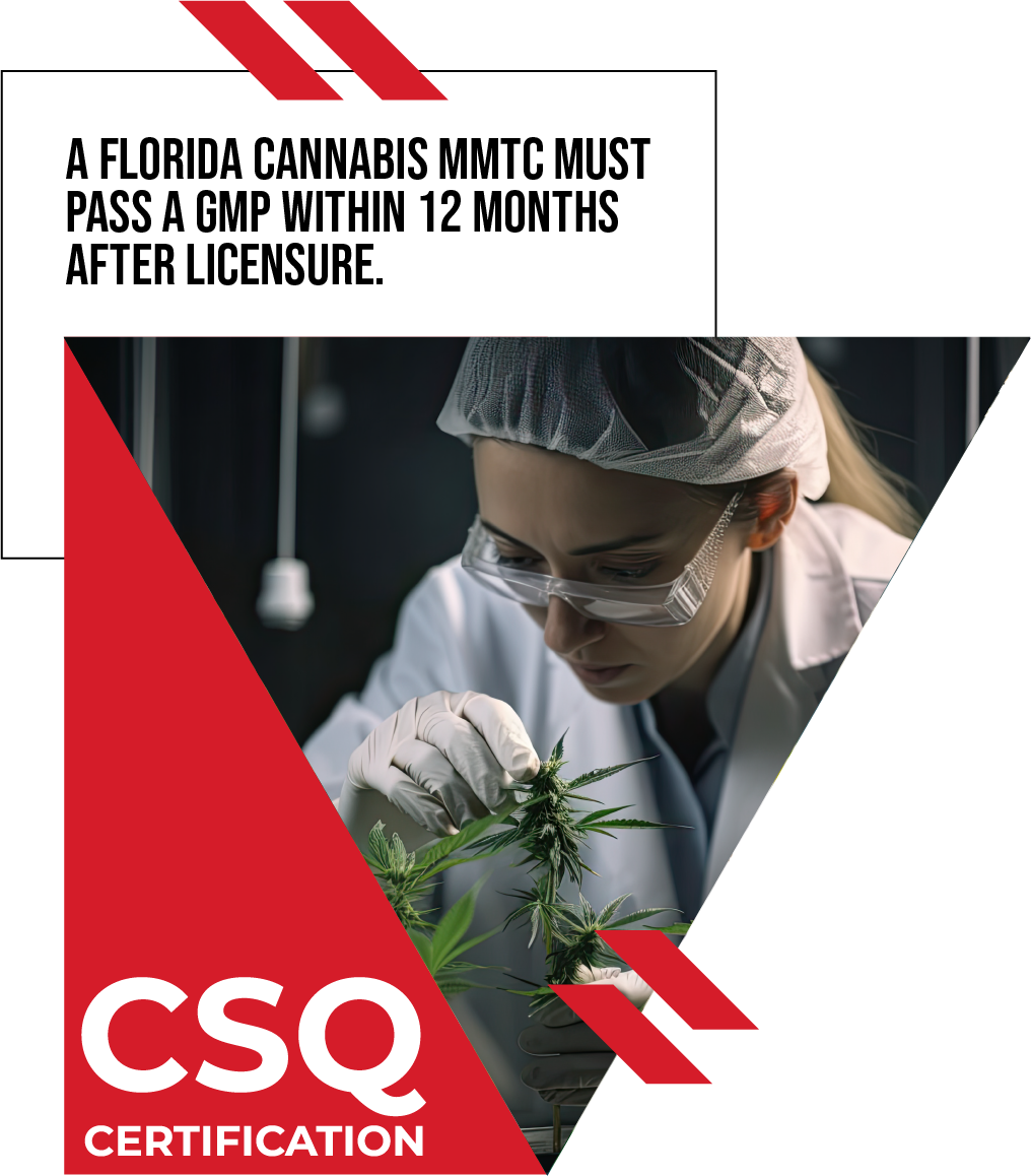 Florida GMP for Cannabis | Cannabis Food Safety GMP for Florida