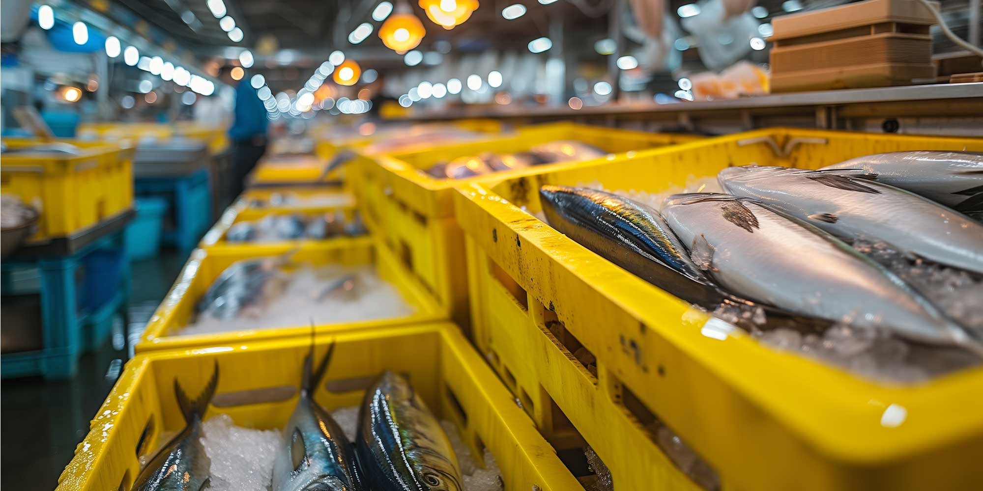 Sustainable Fishery Certification How To Get MSC Certified sustainable-fishery-certification-how-to-get-msc-certified